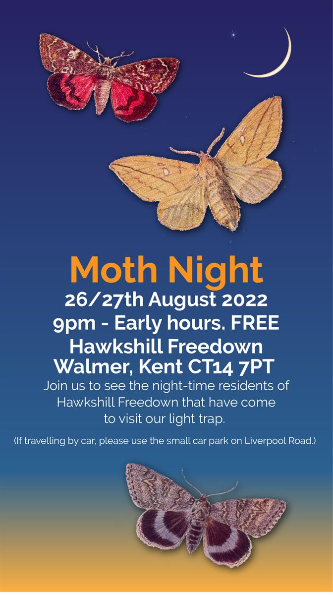 Moth night at Hawkshill - Walmer Town Council